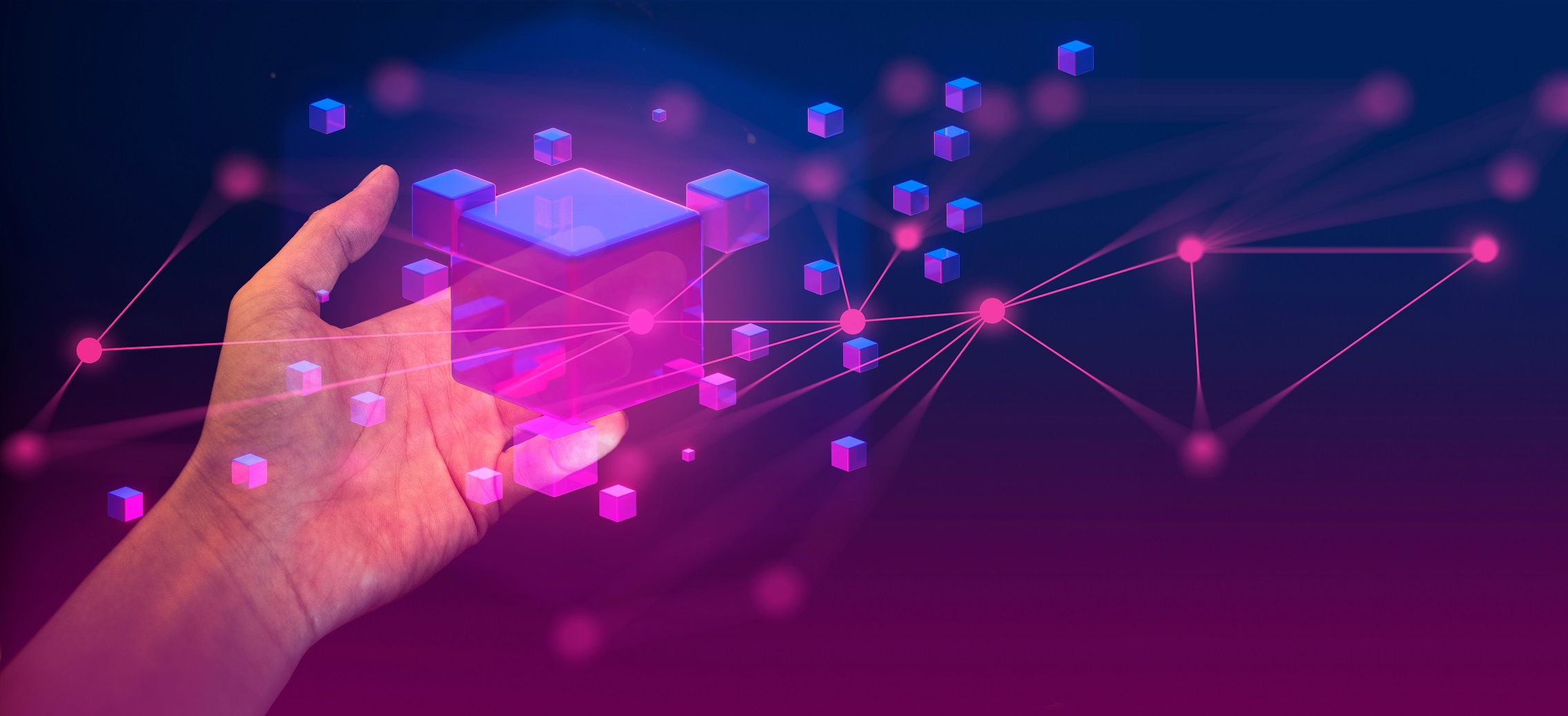 Ethereum vs Solana vs Polygon vs Binance Smart Chain vs Hedera. What ...